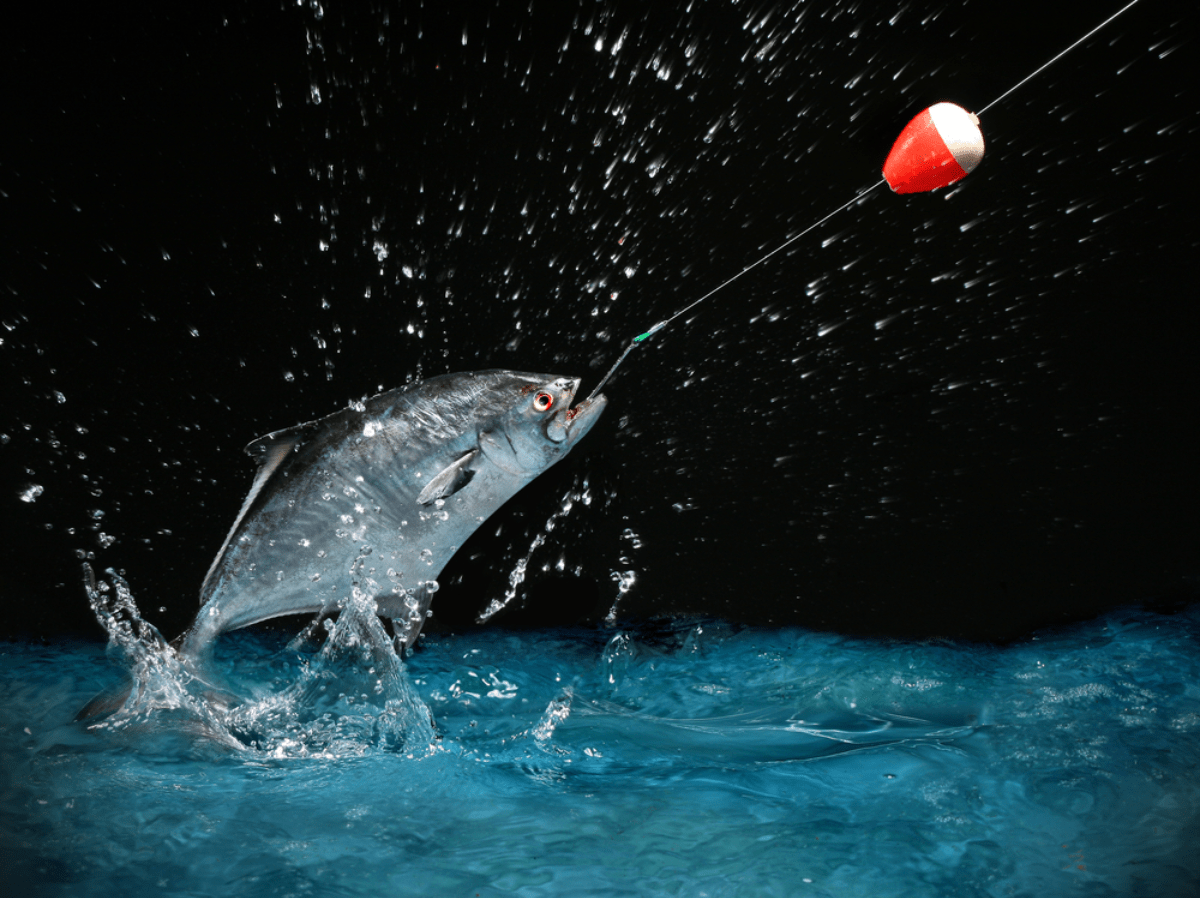 How To Put Line On A Spinning Reel Step By Step Spooling Guide