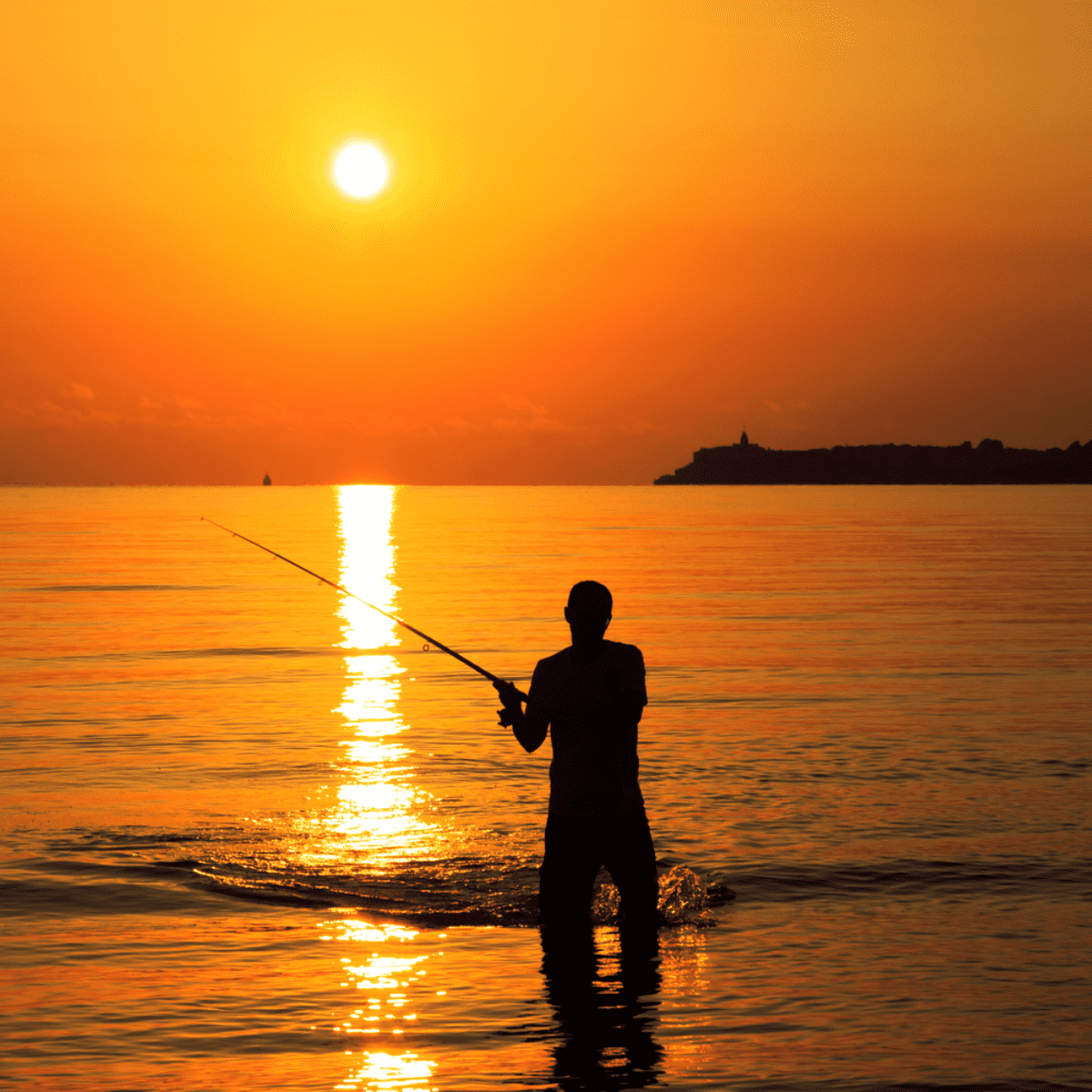 Baitrunner Spinning Reels - Top 3 Best Models Reviewed For 2025