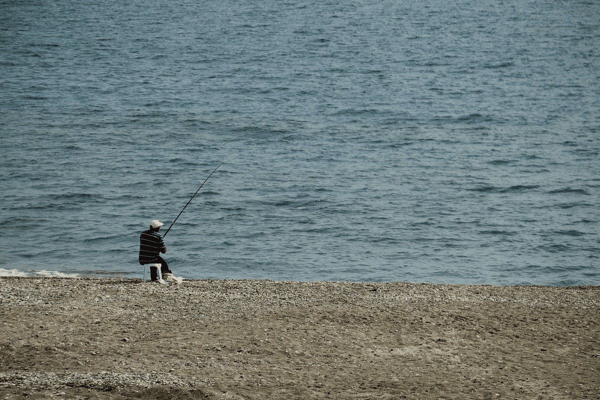 5 Best Quantum Fishing Reel Reviews in 2025 (Full Guide)