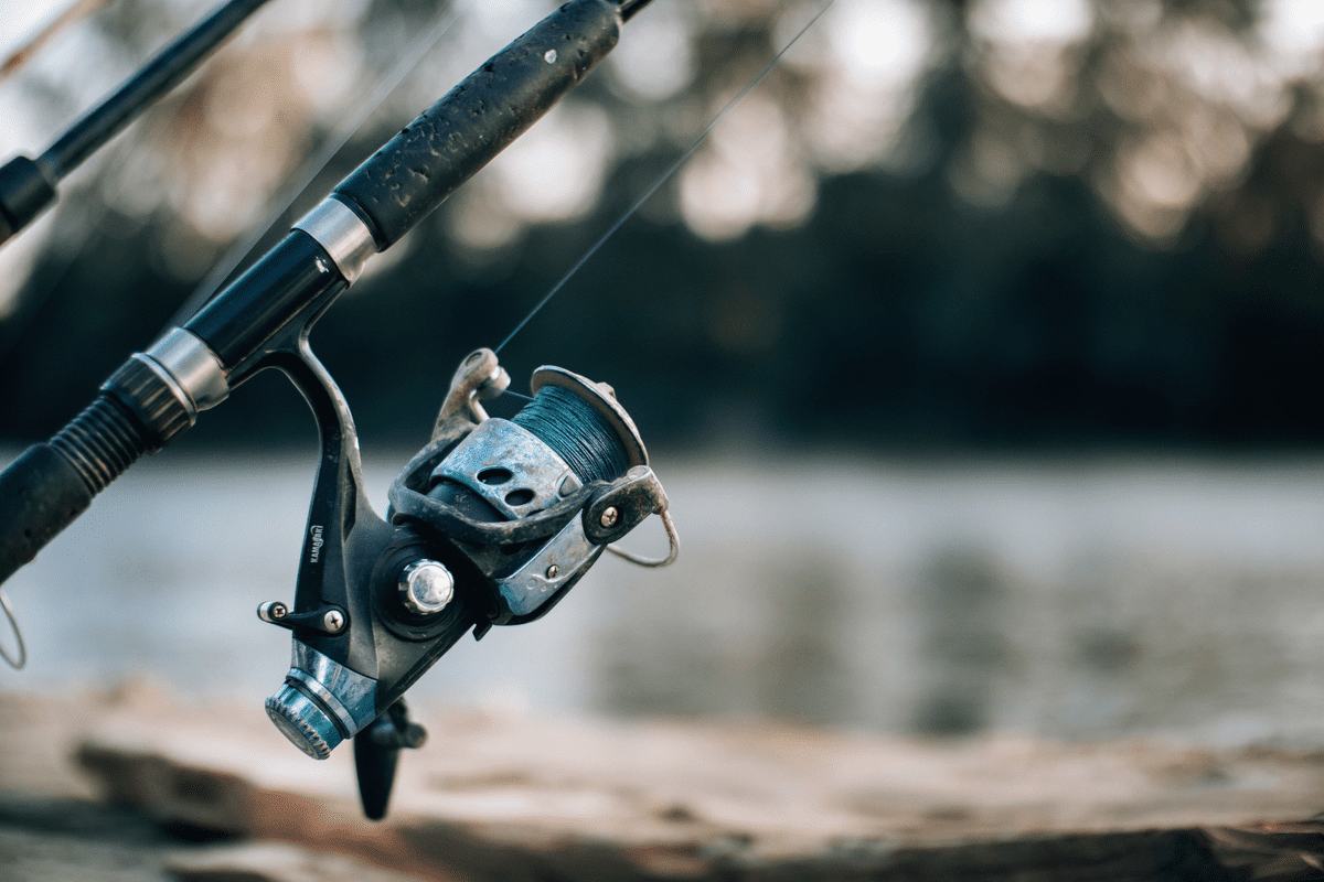 How Much Line To Put On A Spinning Reel Explained For Beginners How Much Line To Put On A Spinning Reel Explained For Beginners
