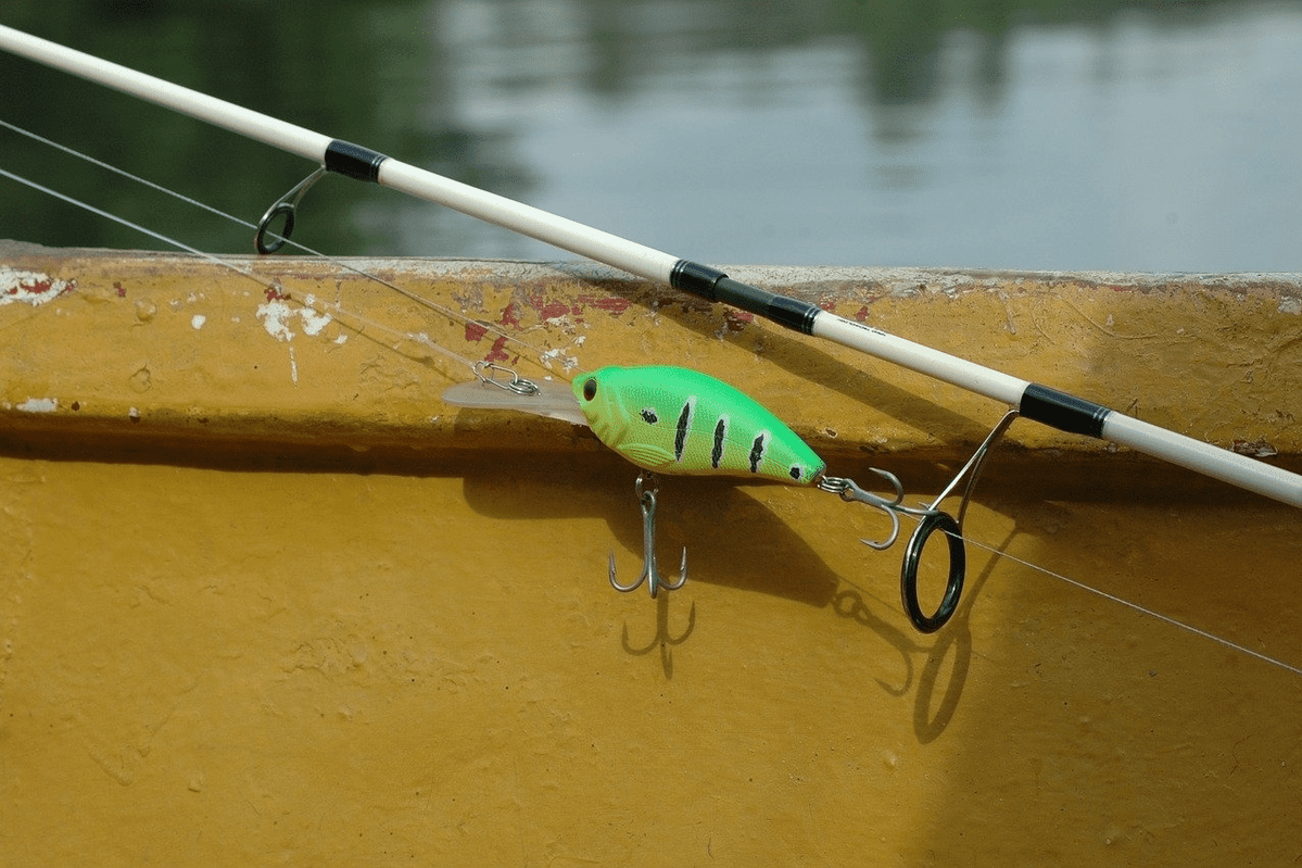 How to Fish a Crankbait? (A Full Guide!) - Fishing Command