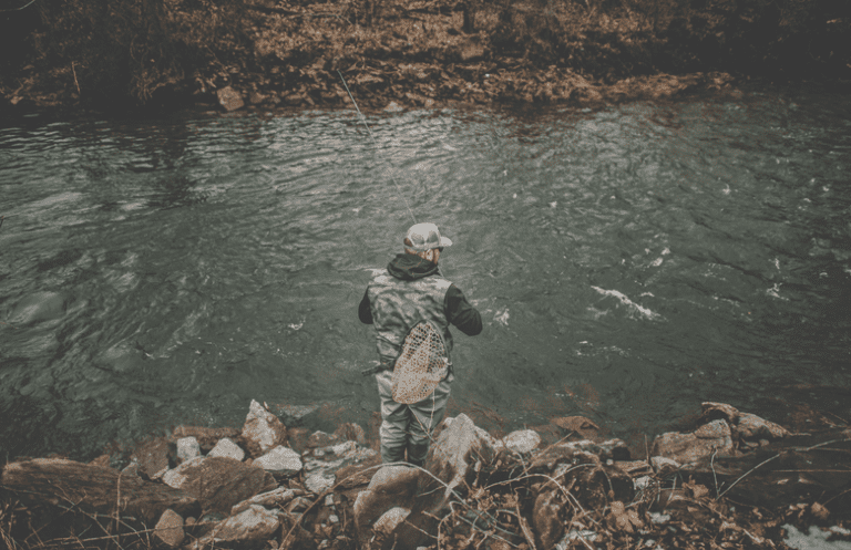 What Size Hook for Trout? Which Is The Best For Any Situation?